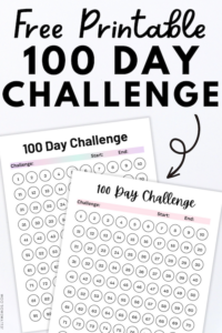 100 Day Challenge Printables To Help You Reach Your Goals! - JellyMemos